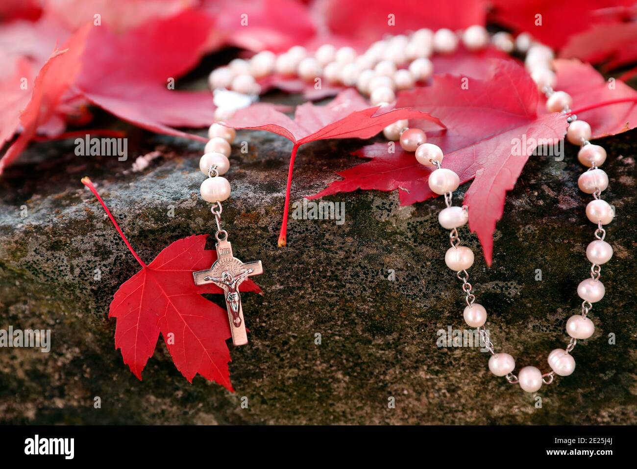 église catholique saint rosary hi-res stock photography and images - Alamy