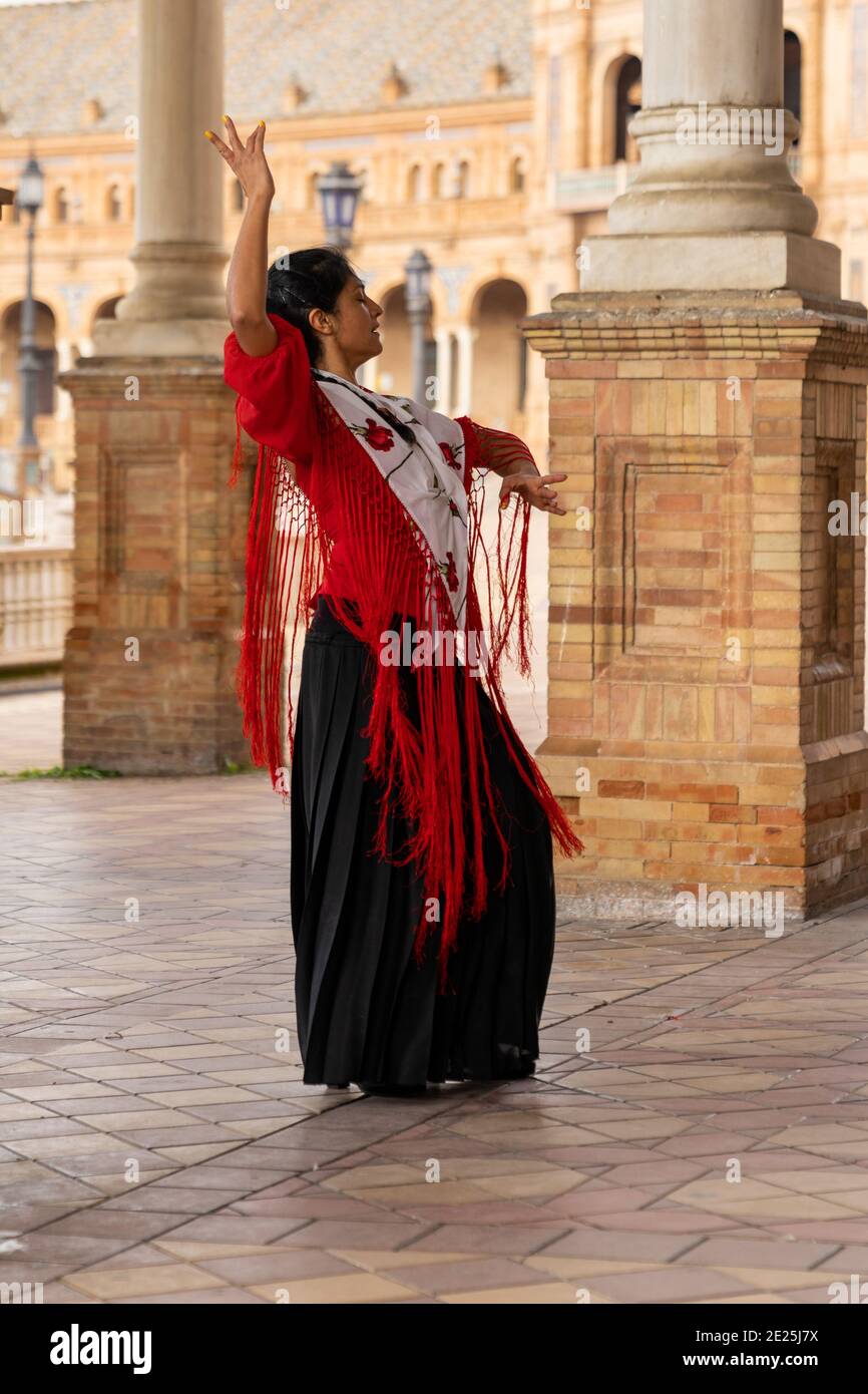 Colorful Flamenco Dancer Costume