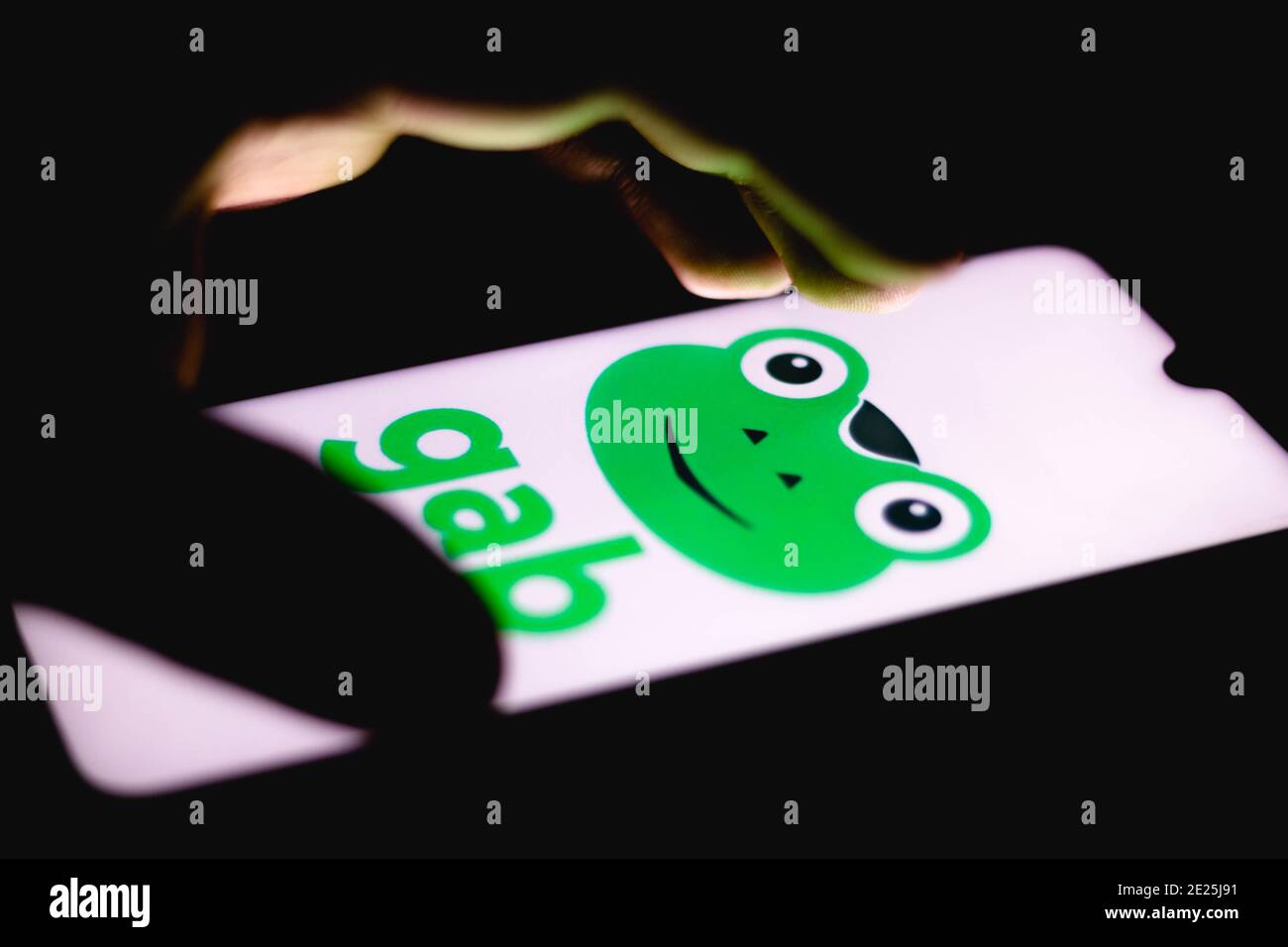 Brazil. 12th Jan, 2021. In this photo illustration the Gab logo seen ...