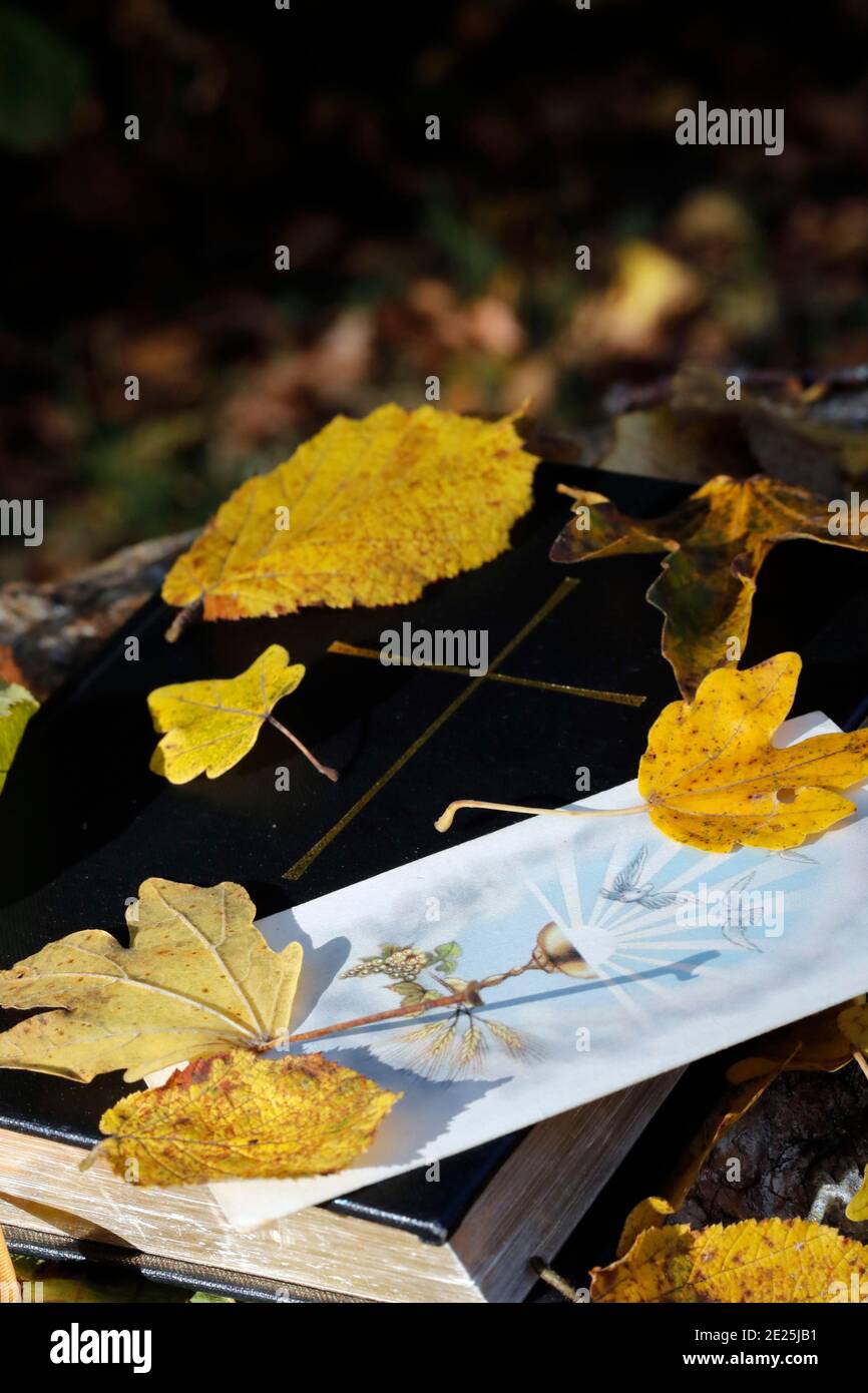Bible and Holy image on dry fallen autumn leaves. Faith and ...