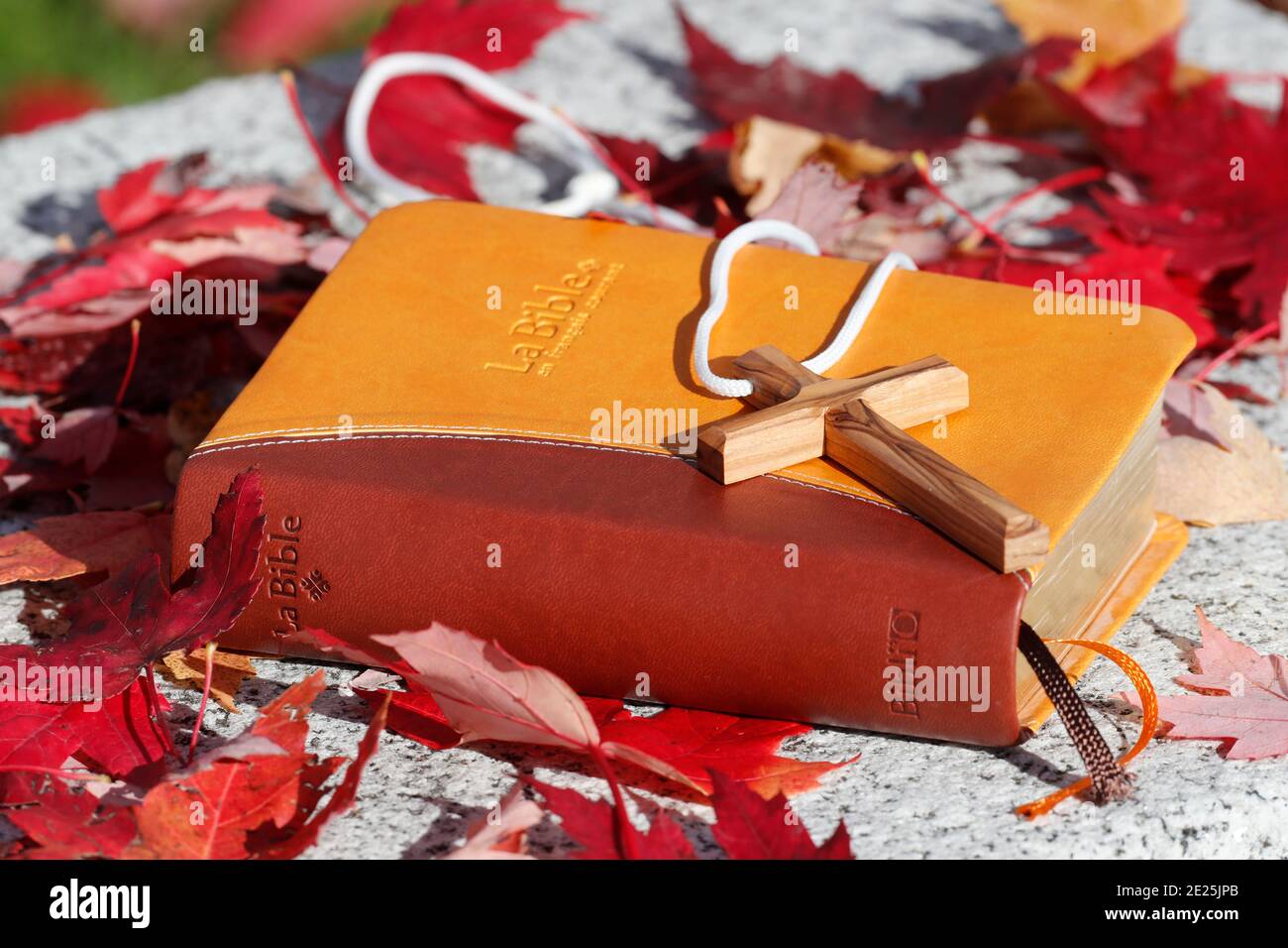 Bible and christian cross on dry fallen autumn leaves. Faith and ...