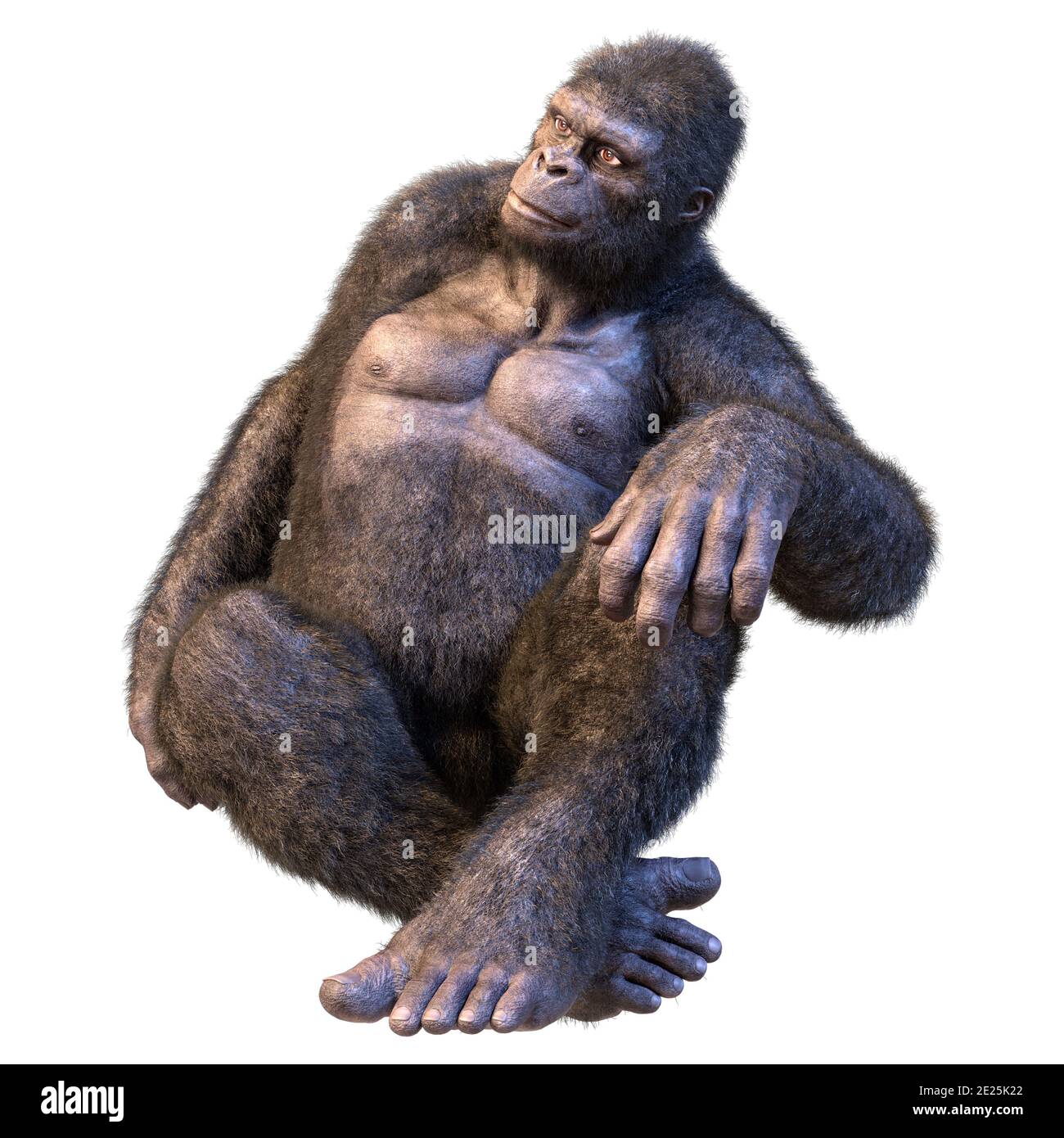 3D rendering of a gorilla ape isolated on white background Stock Photo ...