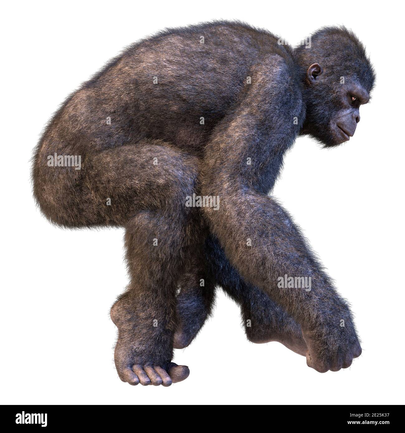 3D rendering of a gorilla ape isolated on white background Stock Photo ...