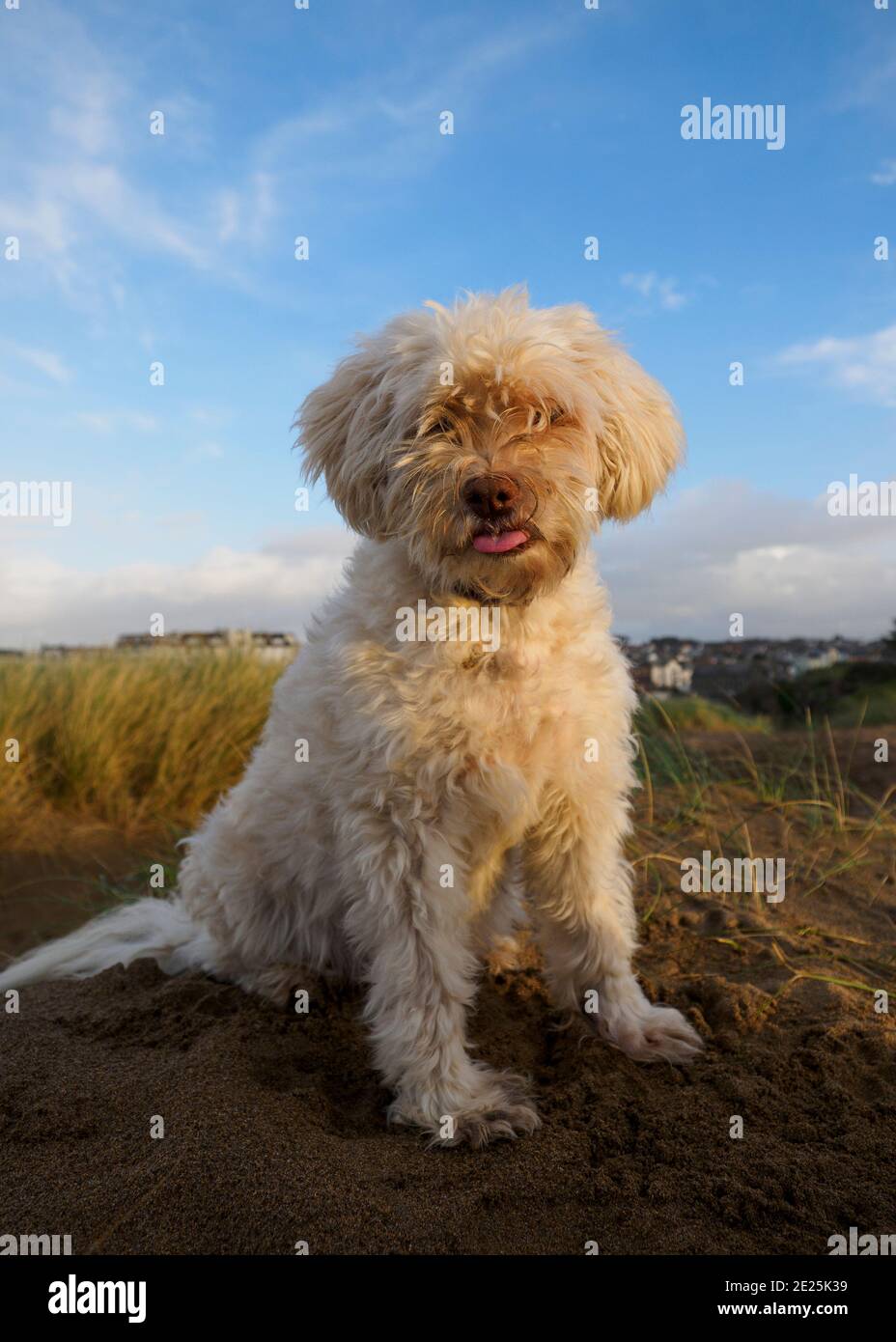 Beach winter sit hi-res stock photography and images - Alamy