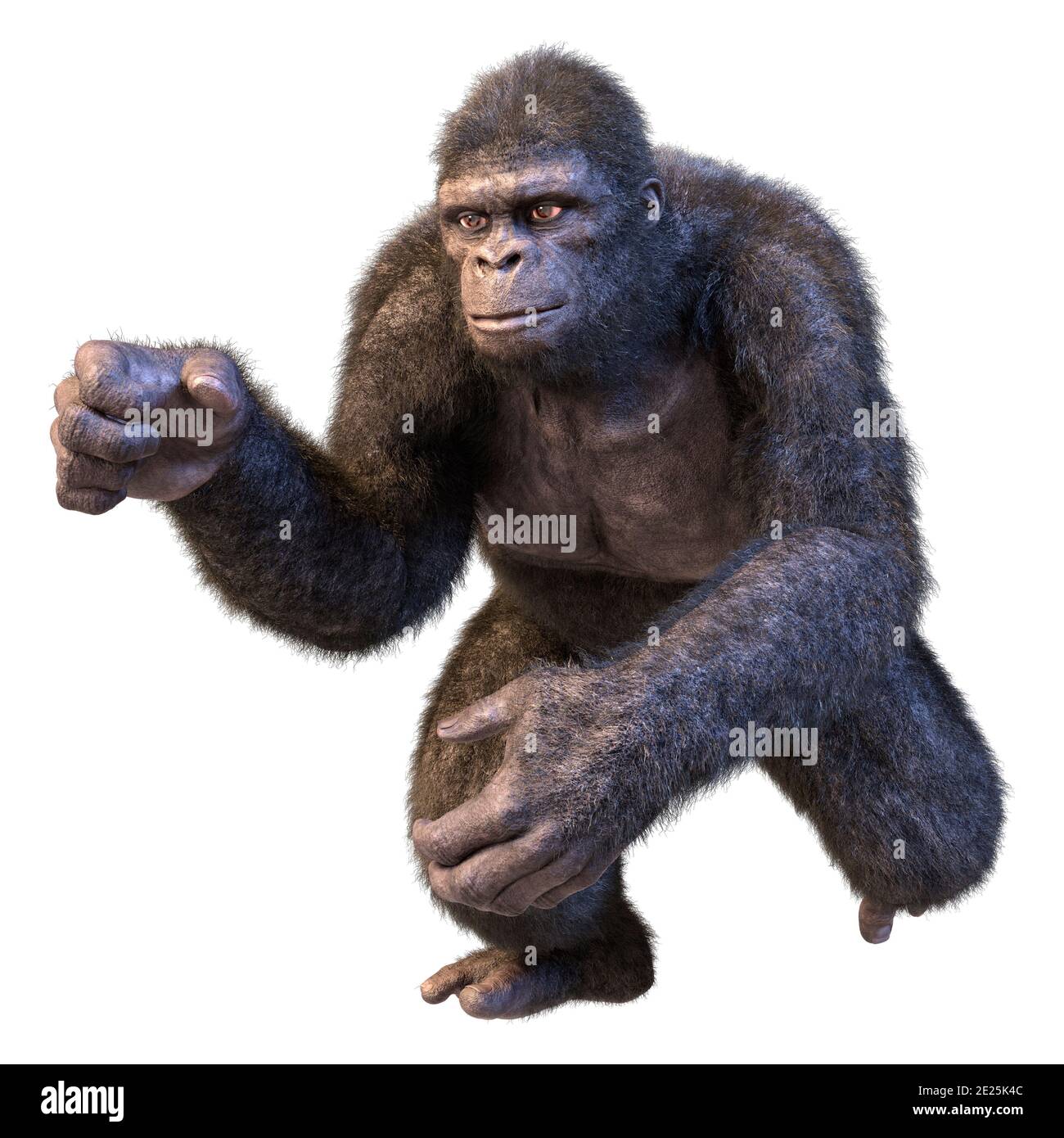 3D rendering of a gorilla ape isolated on white background Stock Photo ...