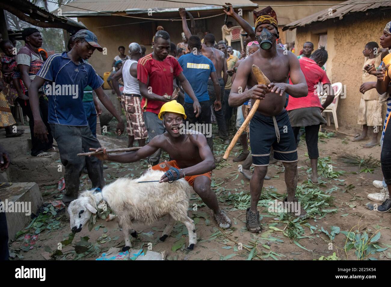 Voodoo Animal Sacrifice