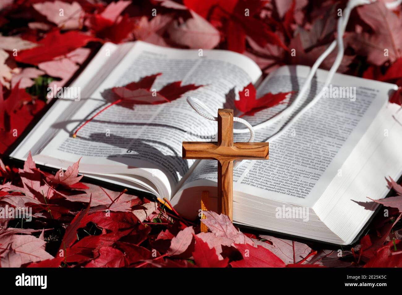 Bible and christian cross on dry fallen autumn leaves. Faith and ...