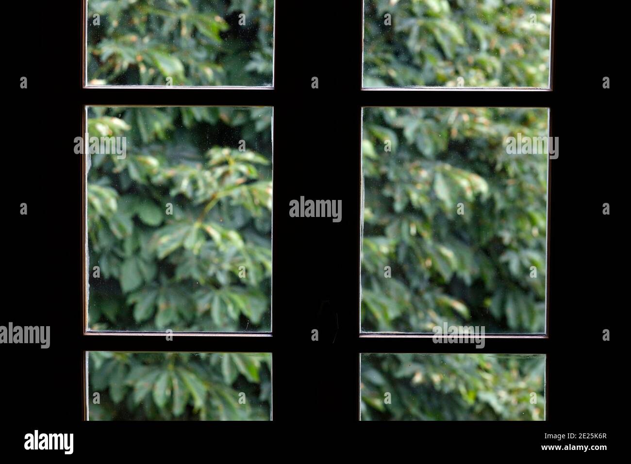 View of tree through window frame, France Stock Photo - Alamy