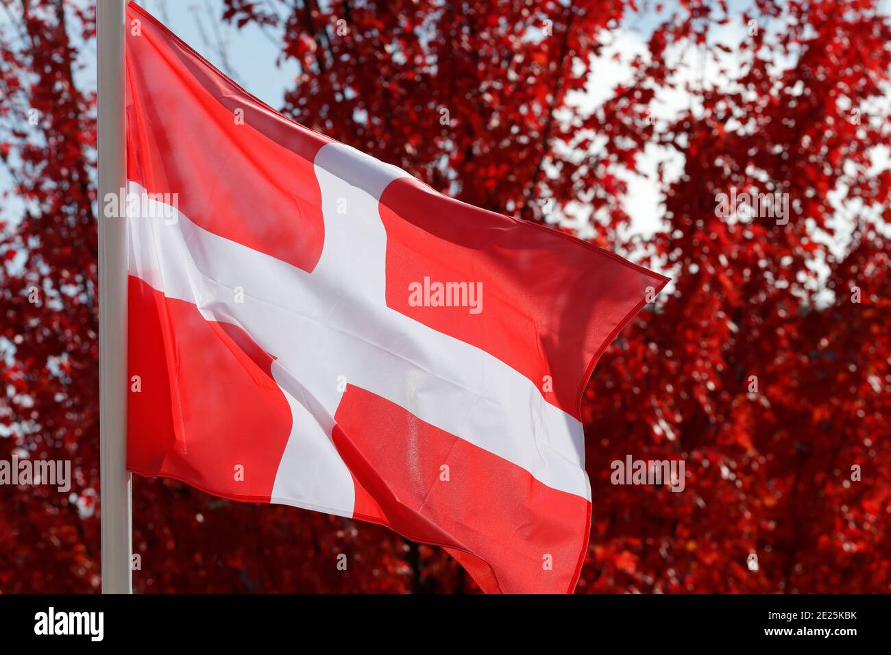 Drapeau feuille hi-res stock photography and images - Alamy