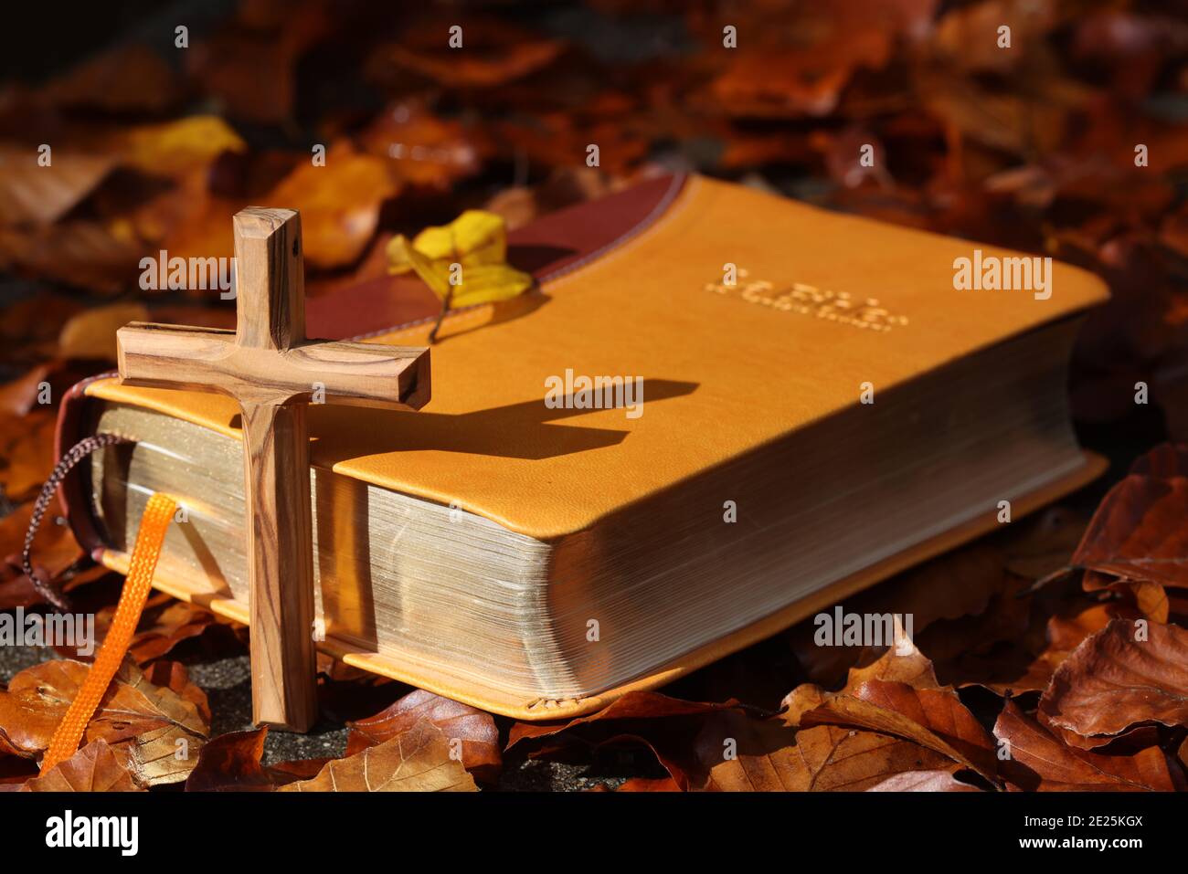 Bible and christian cross on dry fallen autumn leaves. Faith and ...