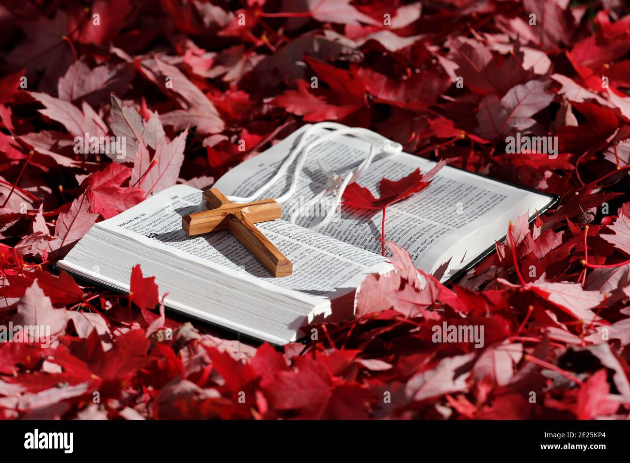 Bible and christian cross on dry fallen autumn leaves. Faith and ...