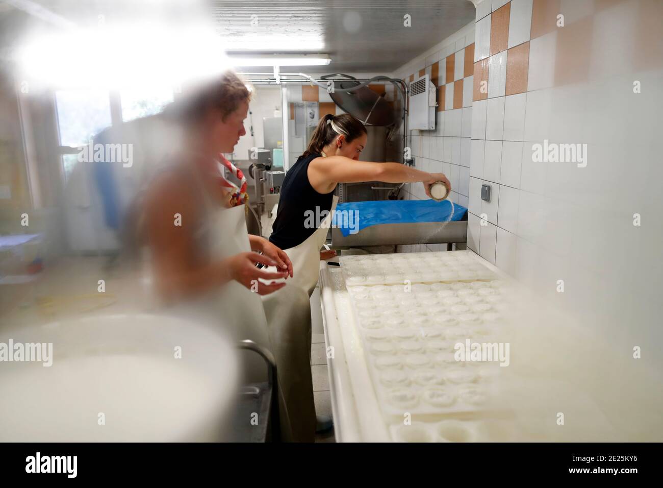 Traditional farm in the French Alps, goat cheese factory. France Stock ...