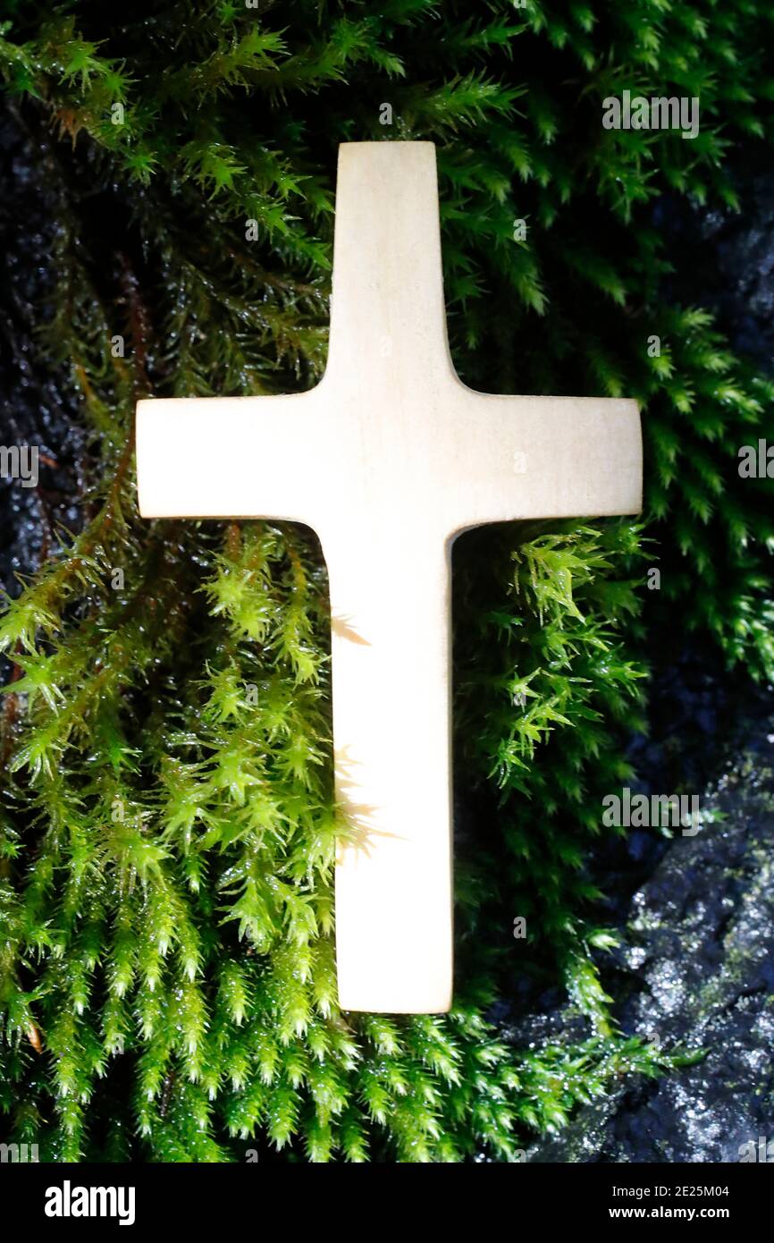 Coss hi-res stock photography and images - Alamy