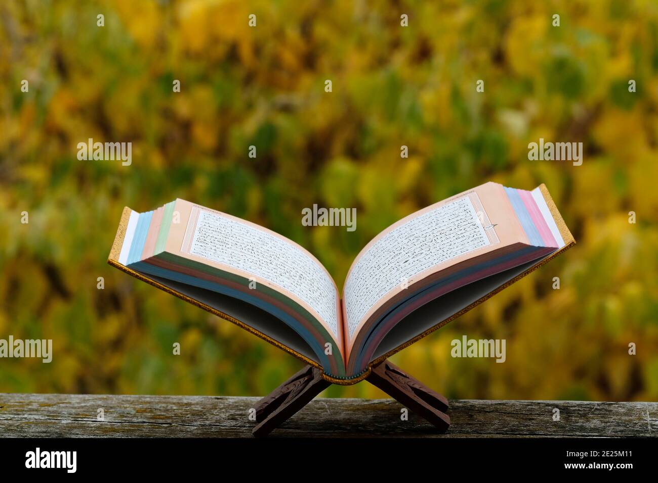 An open Holy Quran on wood stand. France Stock Photo - Alamy