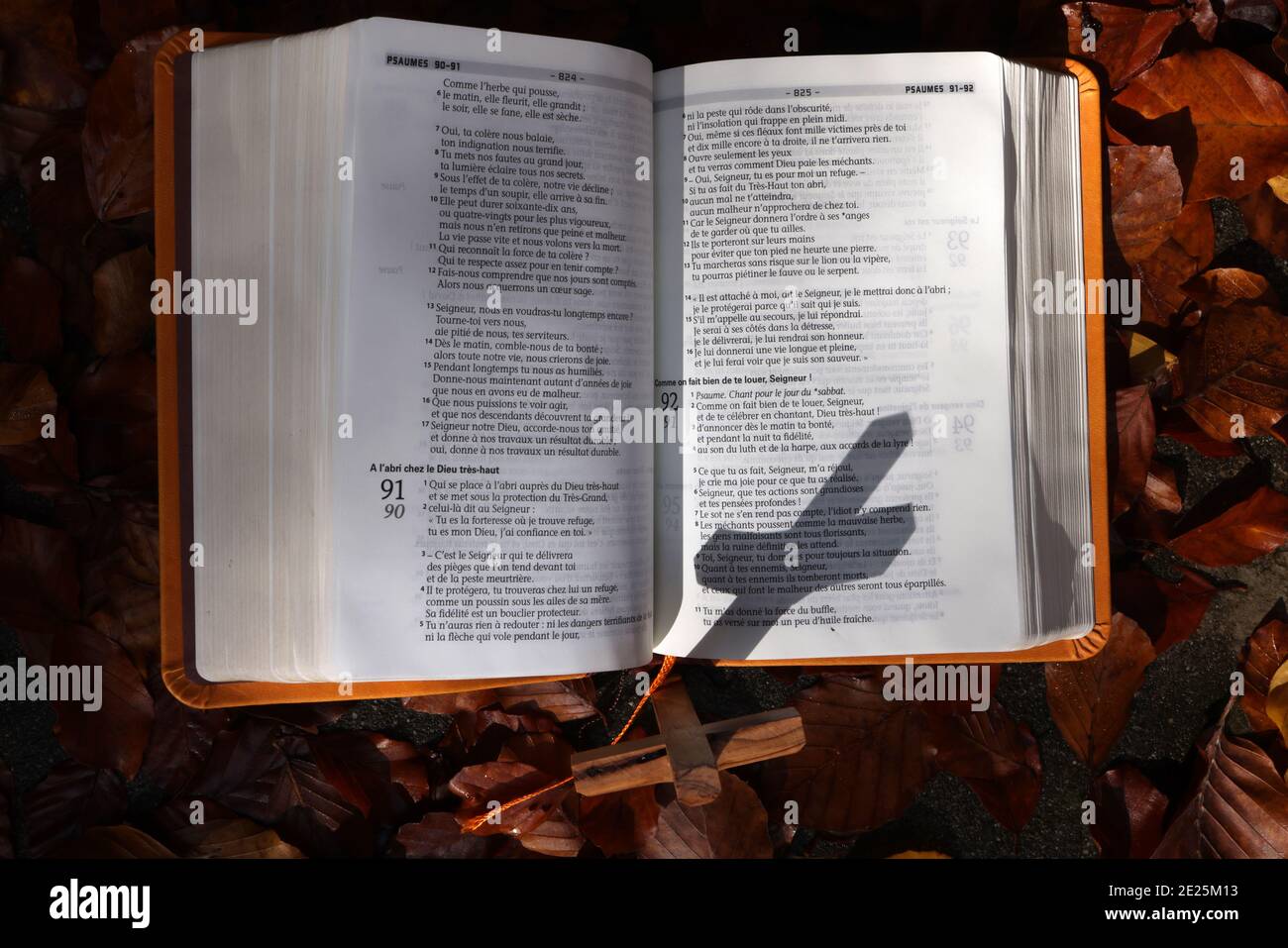 Open bible and christian cross on dry fallen autumn leaves. Faith and ...