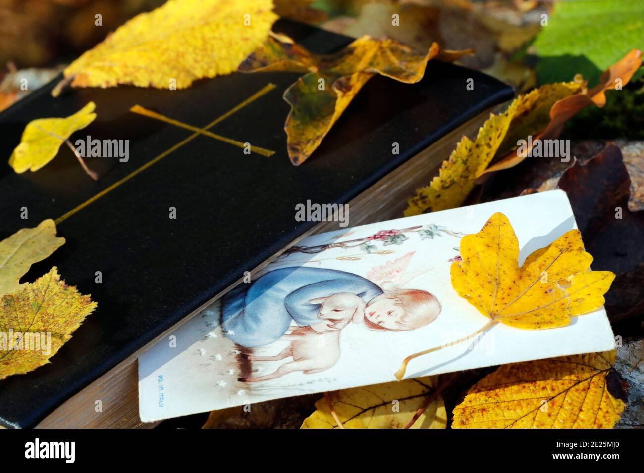 Bible and Holy image on dry fallen autumn leaves. Faith and ...