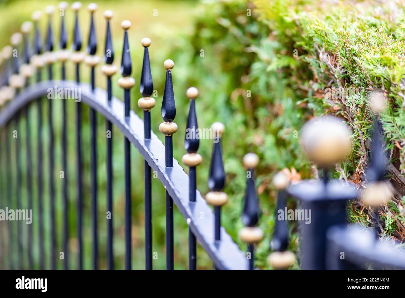 Gat design hi-res stock photography and images - Alamy