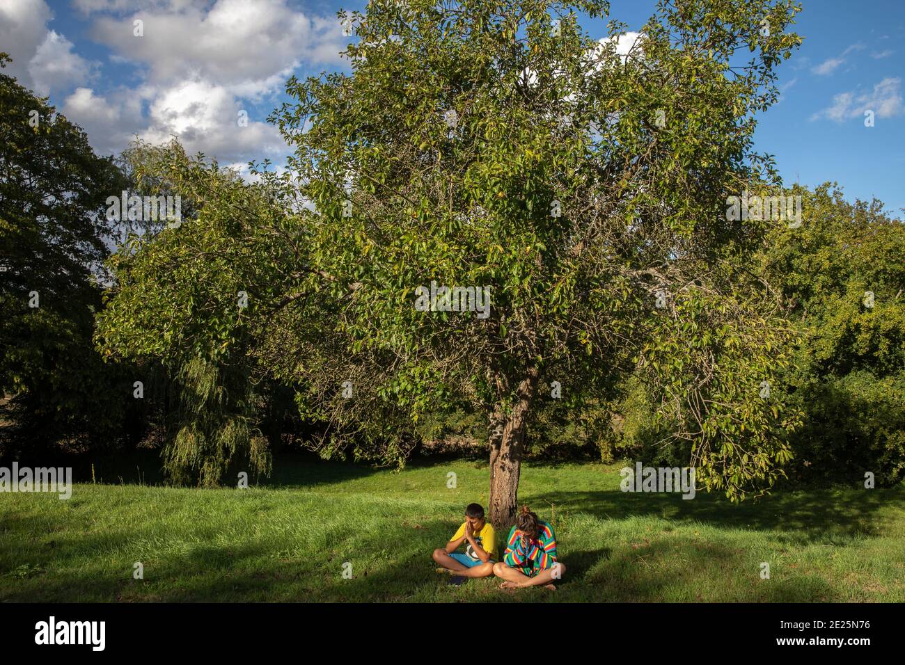 Brother and sister praying under a tree in Eure, France Stock Photo - Alamy
