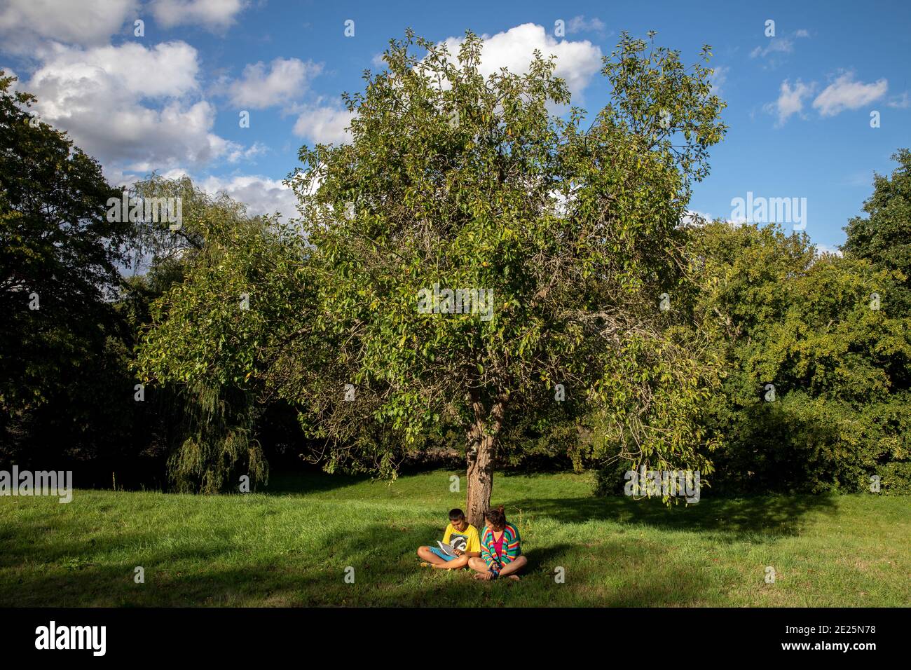 Child reading under tree hi-res stock photography and images - Alamy