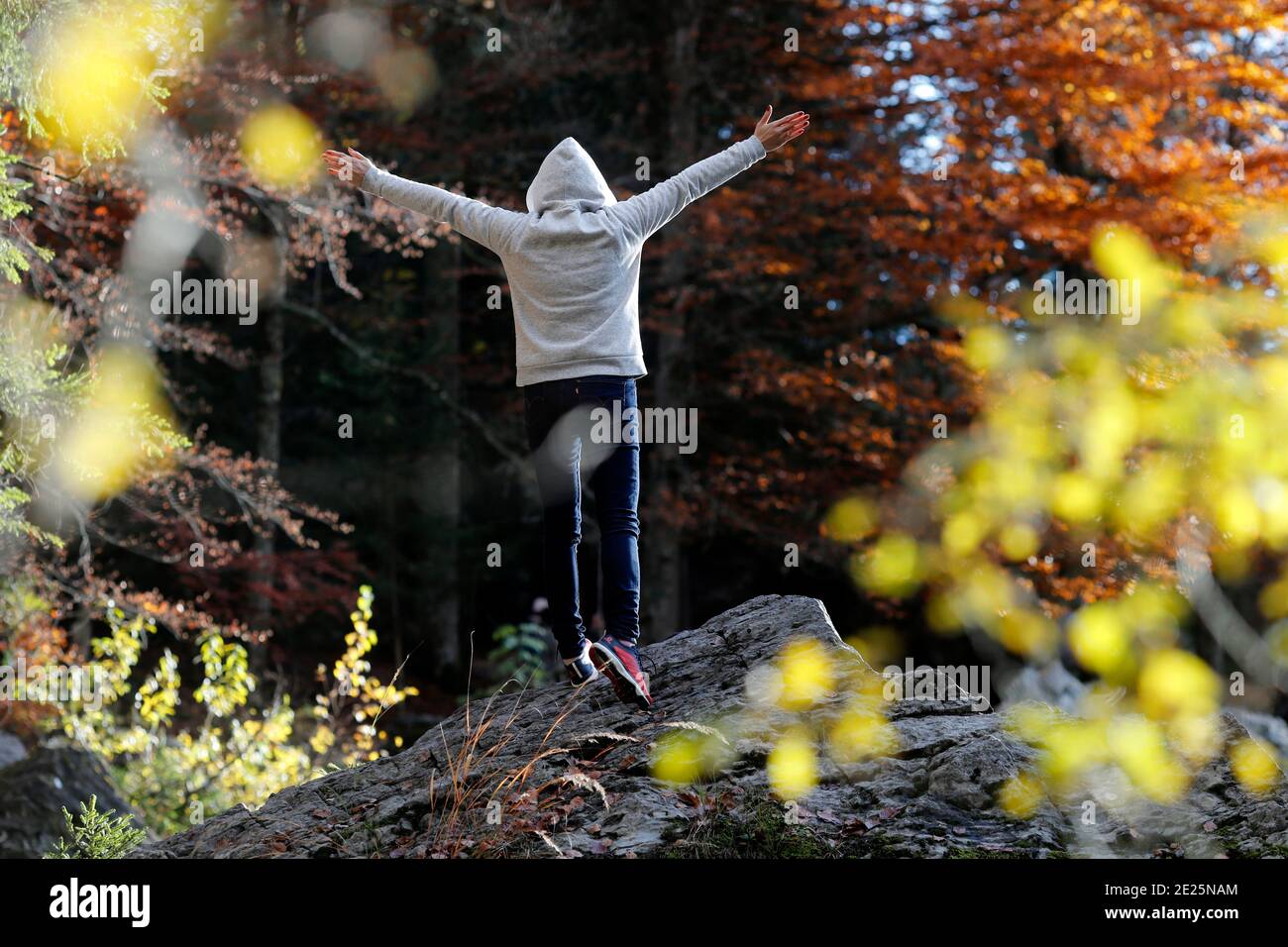 Christian woman praying in the forest. Autumn. France Stock Photo - Alamy