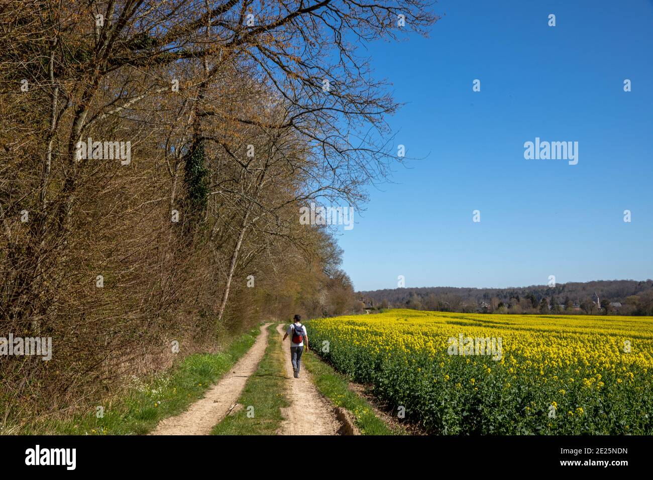 Champ ciel bleu hi-res stock photography and images - Alamy