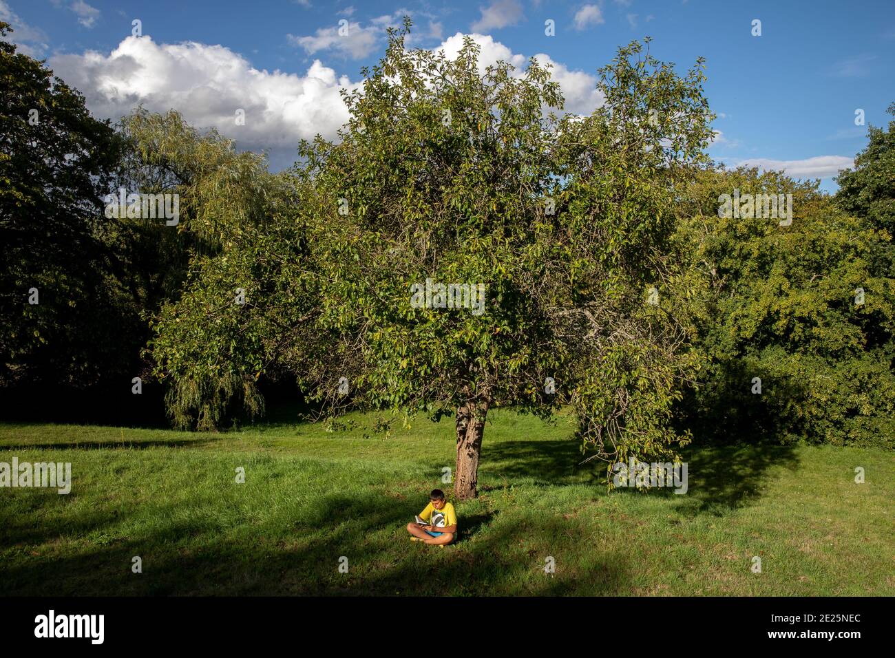 Boy sitting under tree in hi-res stock photography and images - Alamy