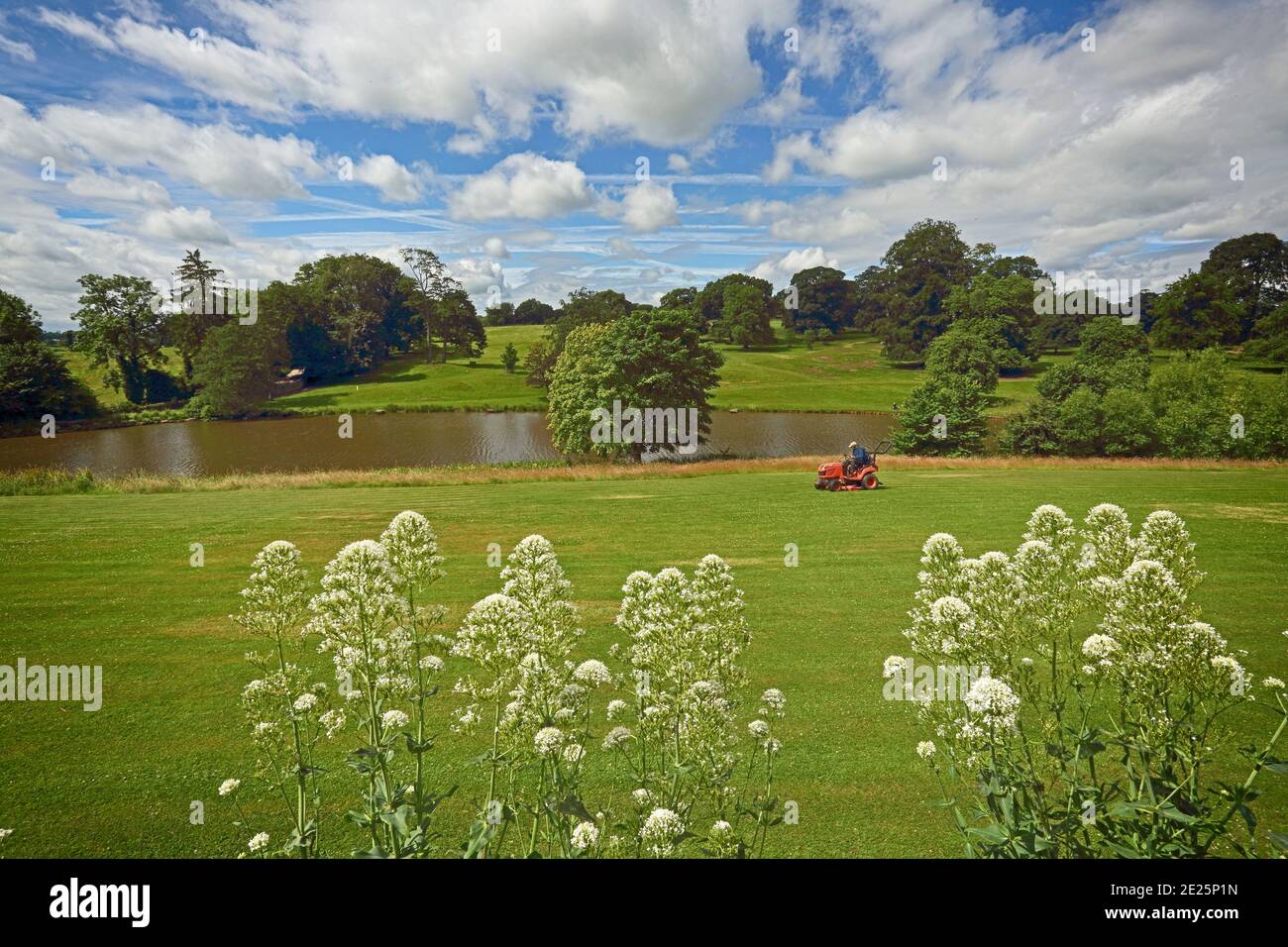 The lake and meadows on the Ripley Castle estate in Ripley, North ...