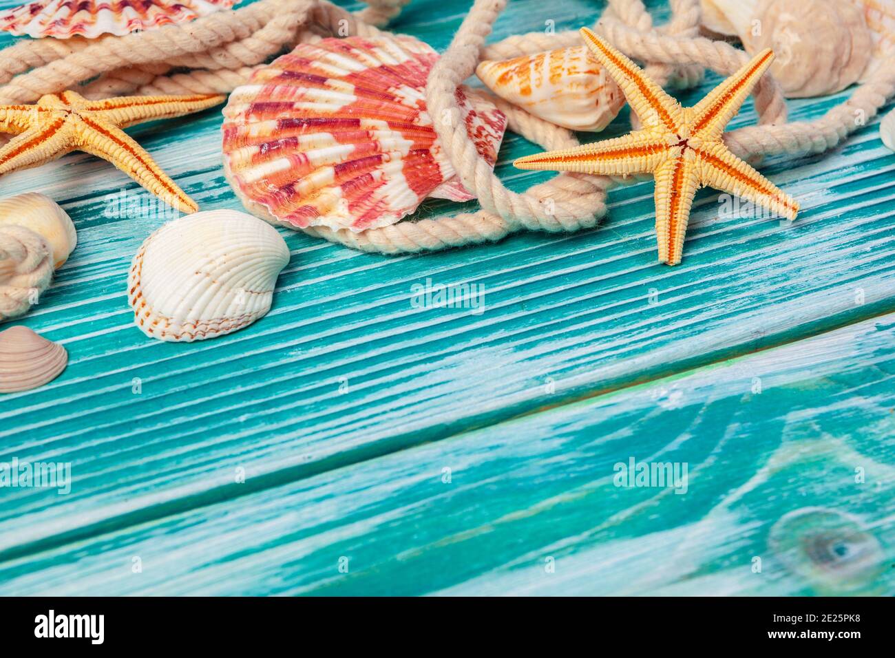 Different sea shells on color wooden background Stock Photo - Alamy