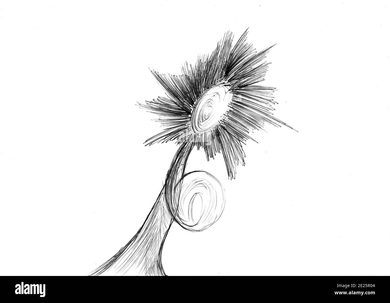 Abstract south african flowers in Cut Out Stock Images & Pictures - Alamy