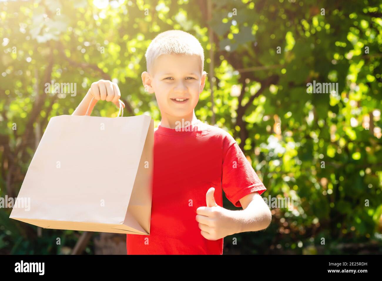 funny cute boy on green background. Holding bag of craft paper in his ...