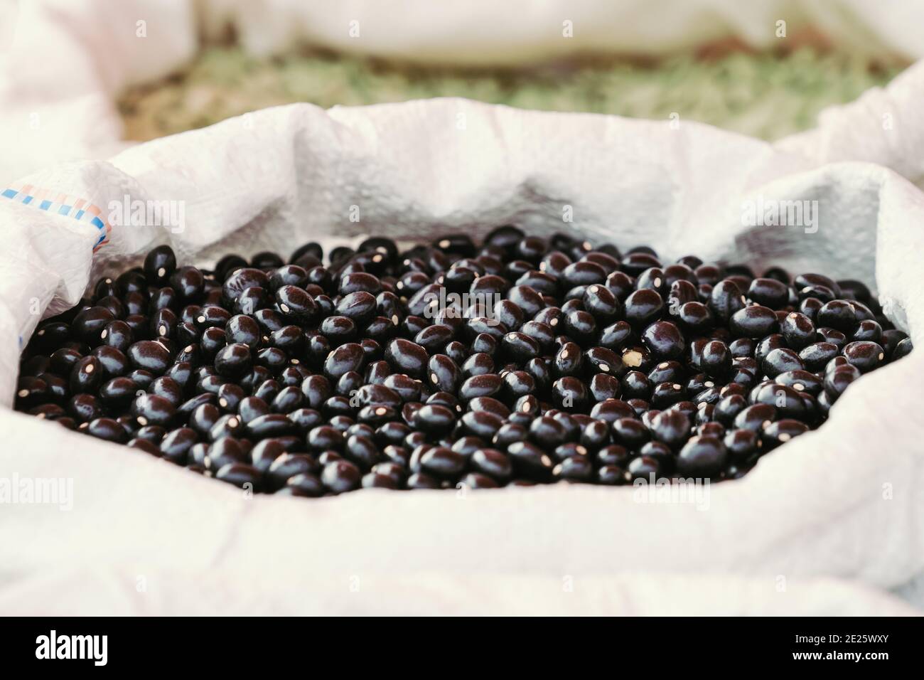 Sacks of legumes hi-res stock photography and images - Alamy