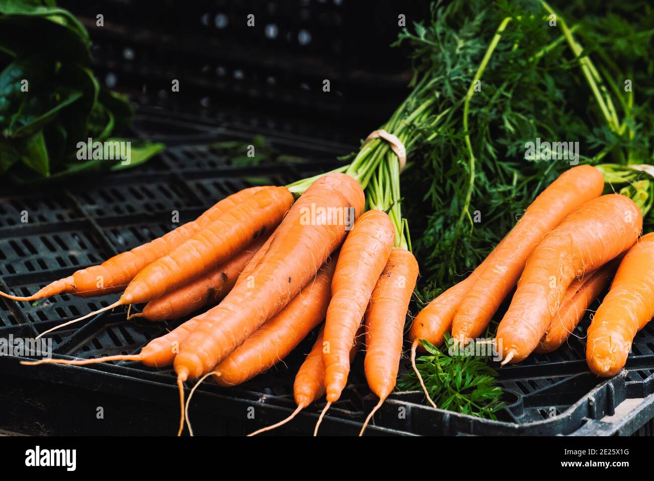 Carrots in a market stall Stock Photo - Alamy