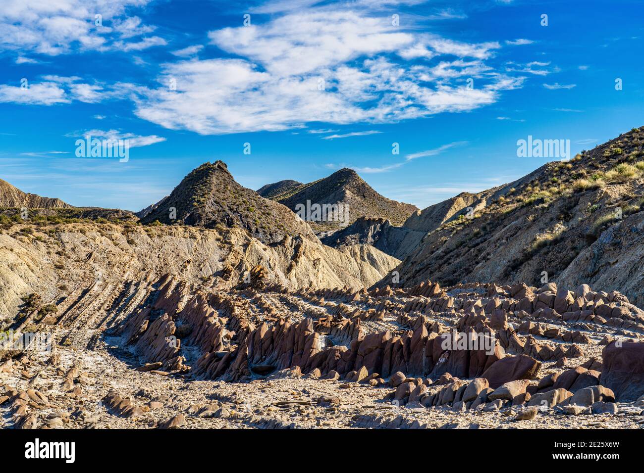 Dragon Tail, Colas de Dragon in Tabernas Desert in Almeria, Spain ...