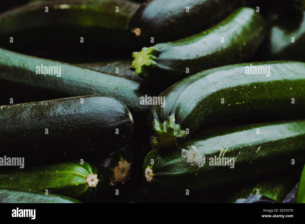 Courgette courgettes zucchini zucchinis hi-res stock photography and ...