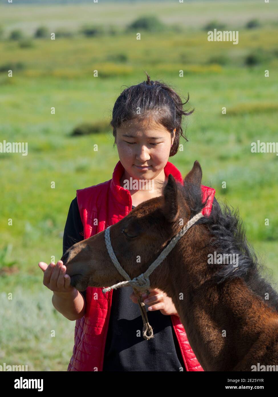 Horse milk kumis hi-res stock photography and images - Alamy