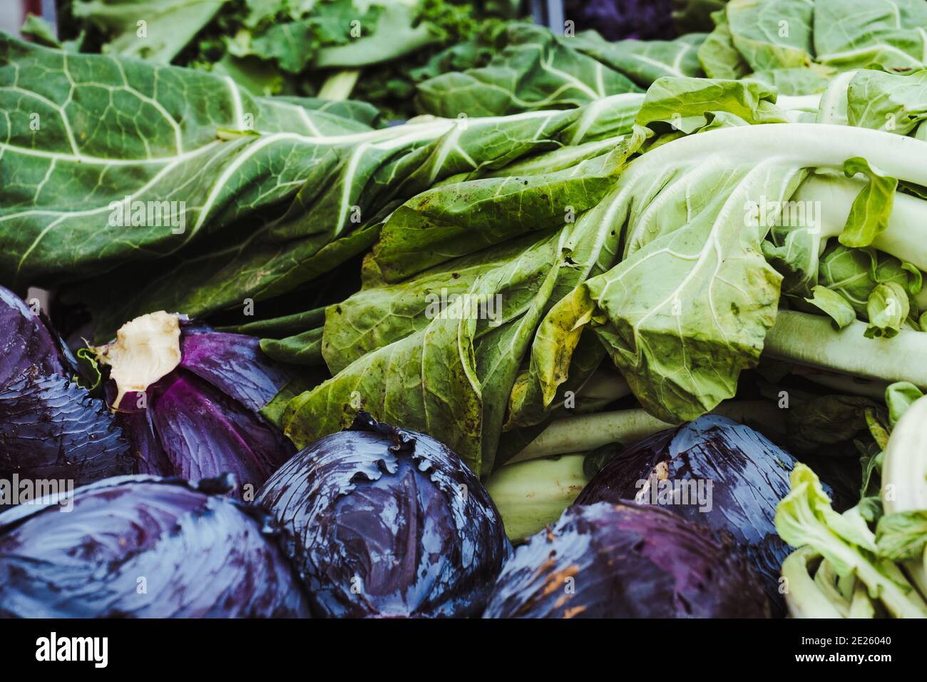Raw plants hi-res stock photography and images - Alamy