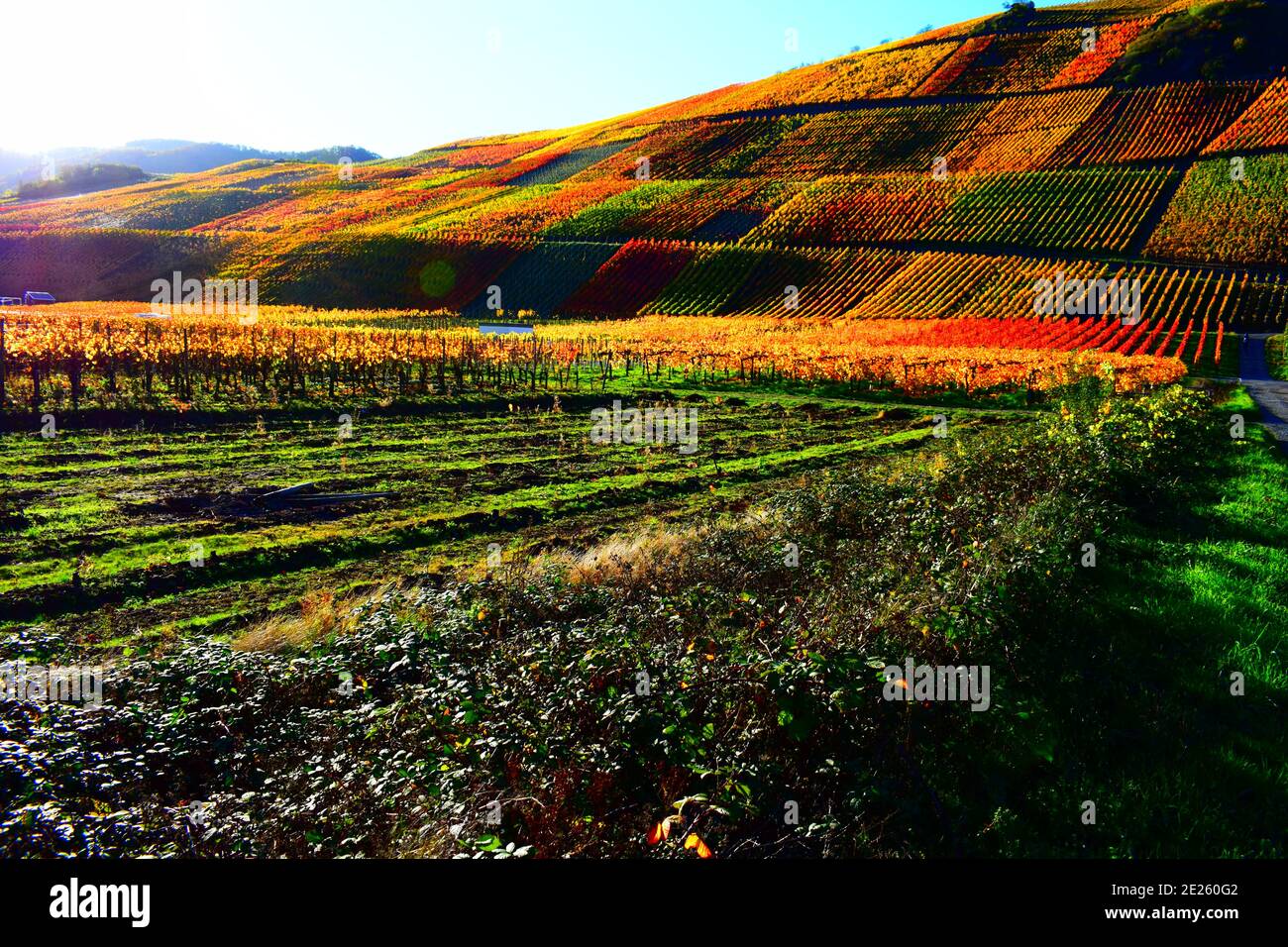 Burning vineyards hi-res stock photography and images - Alamy