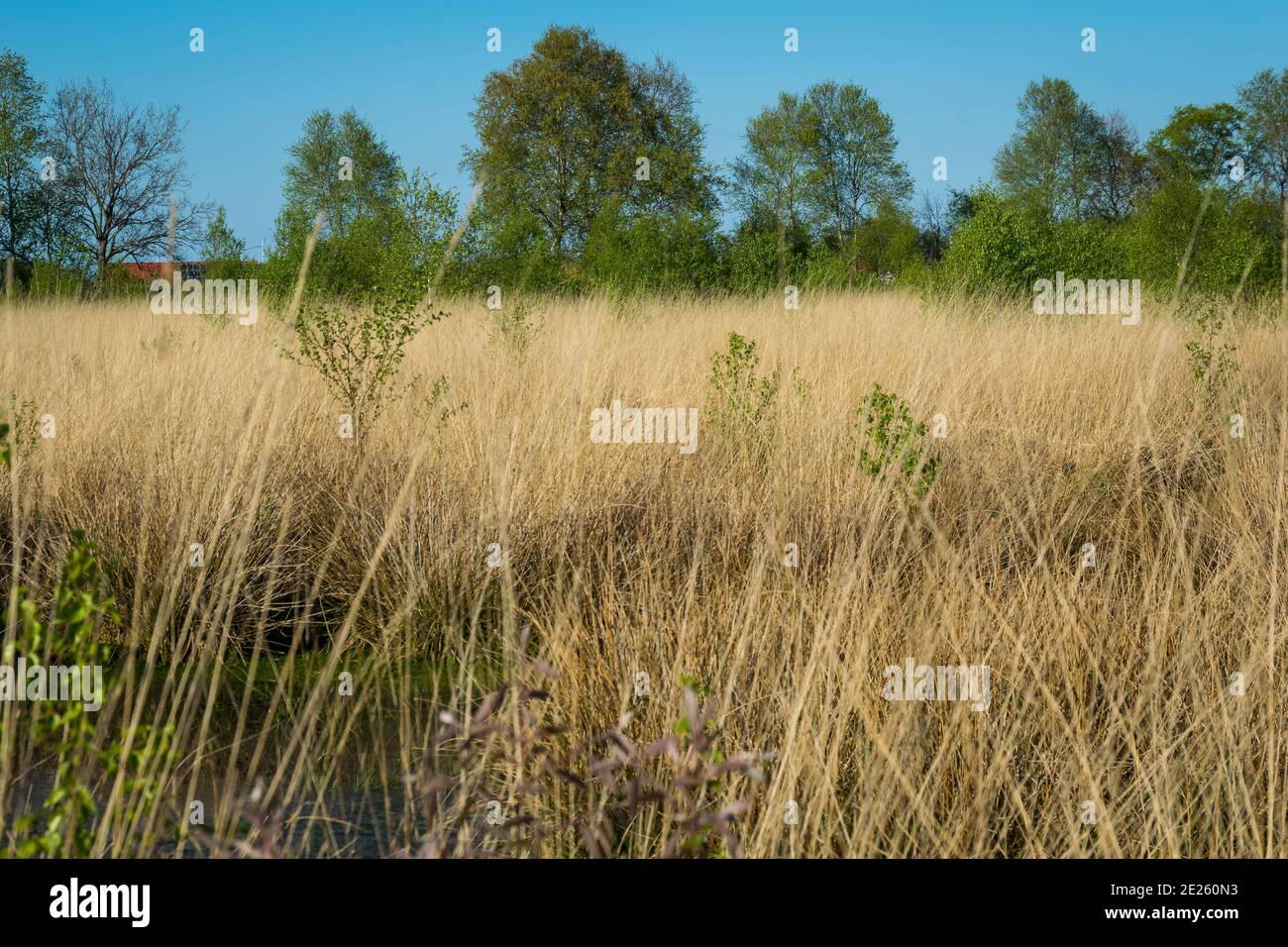 Extensive area hi-res stock photography and images - Alamy