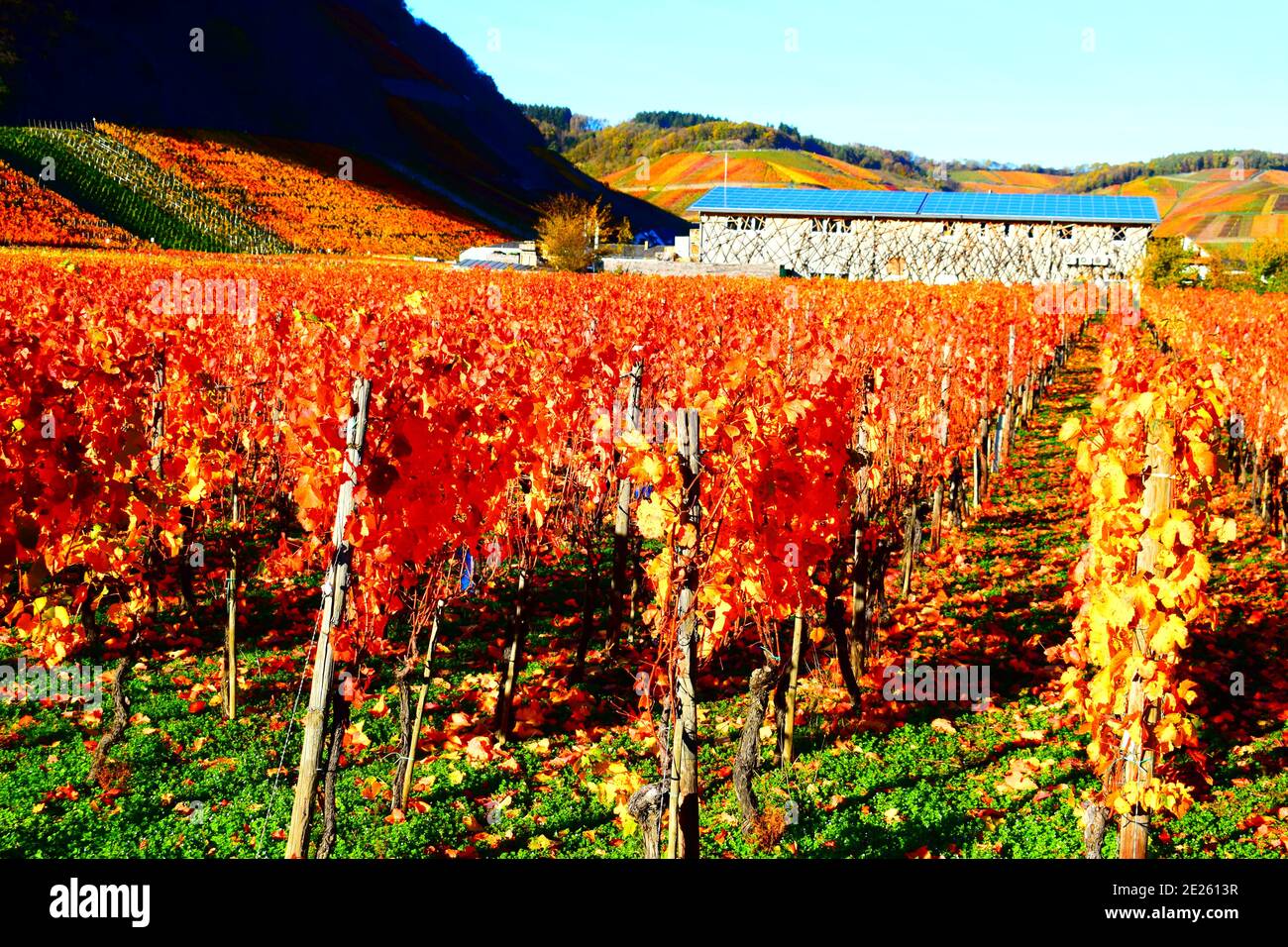 Burning vineyards hi-res stock photography and images - Alamy