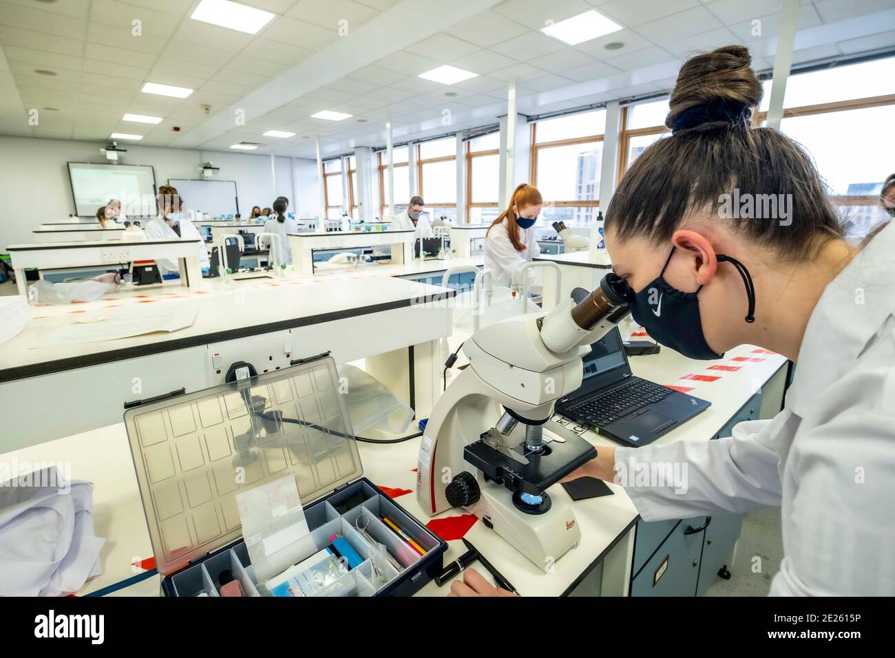 Student working in science lab hi-res stock photography and images - Alamy