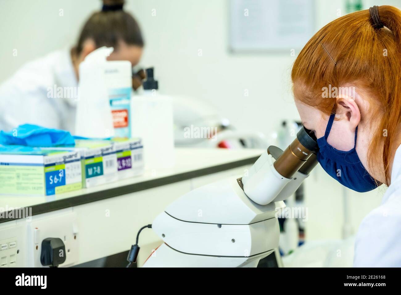 technicians working in lab wearing masks Stock Photo - Alamy