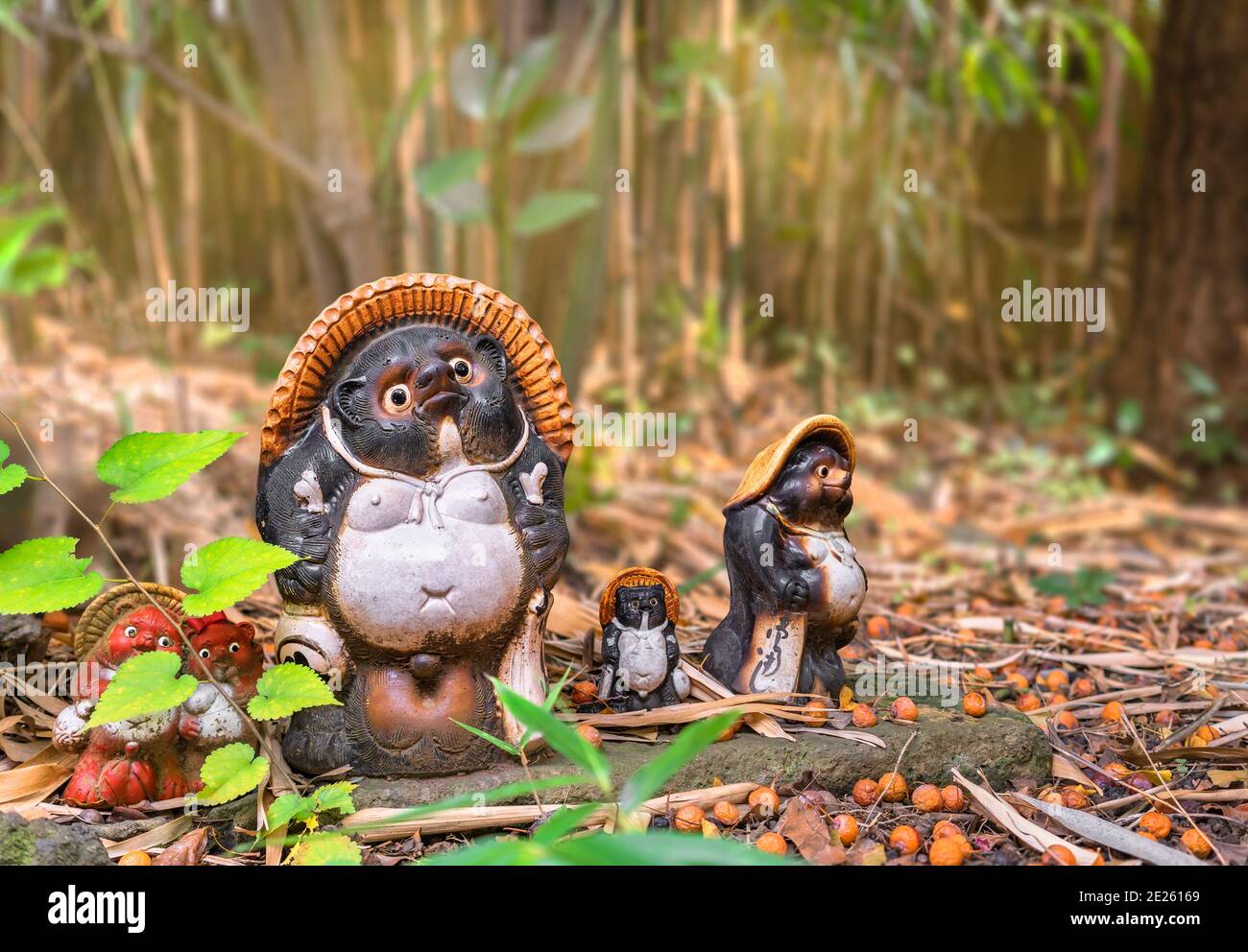Danuki hi-res stock photography and images - Alamy