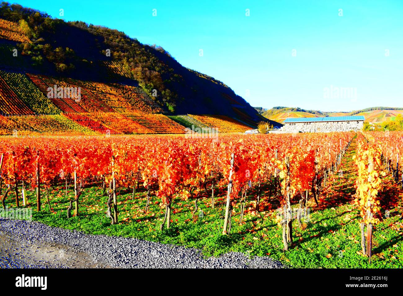 Burning vineyards hi-res stock photography and images - Alamy