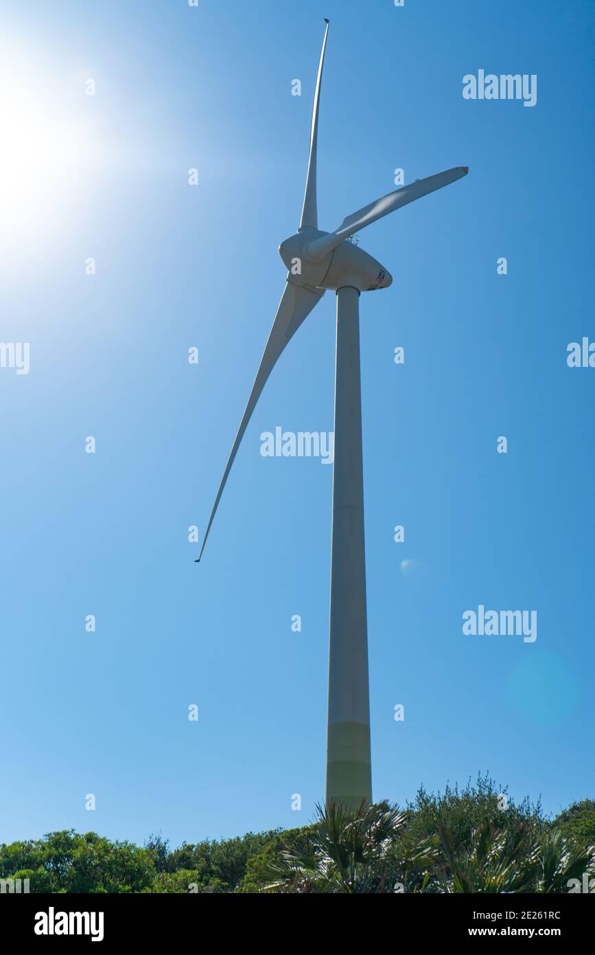 Frontal view of wind turbine in nature in sunshine Stock Photo - Alamy