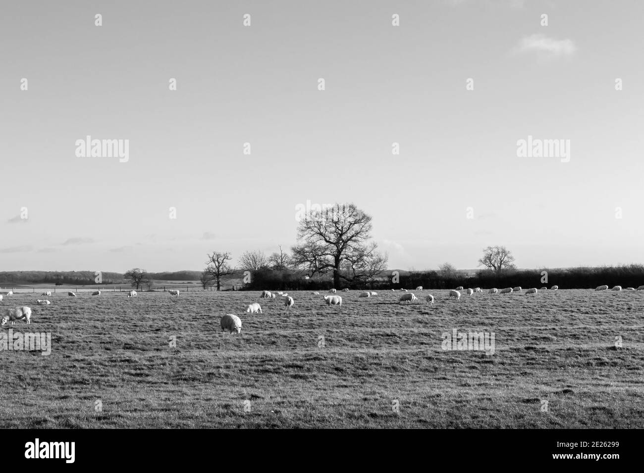 Exton rutland hi-res stock photography and images - Alamy