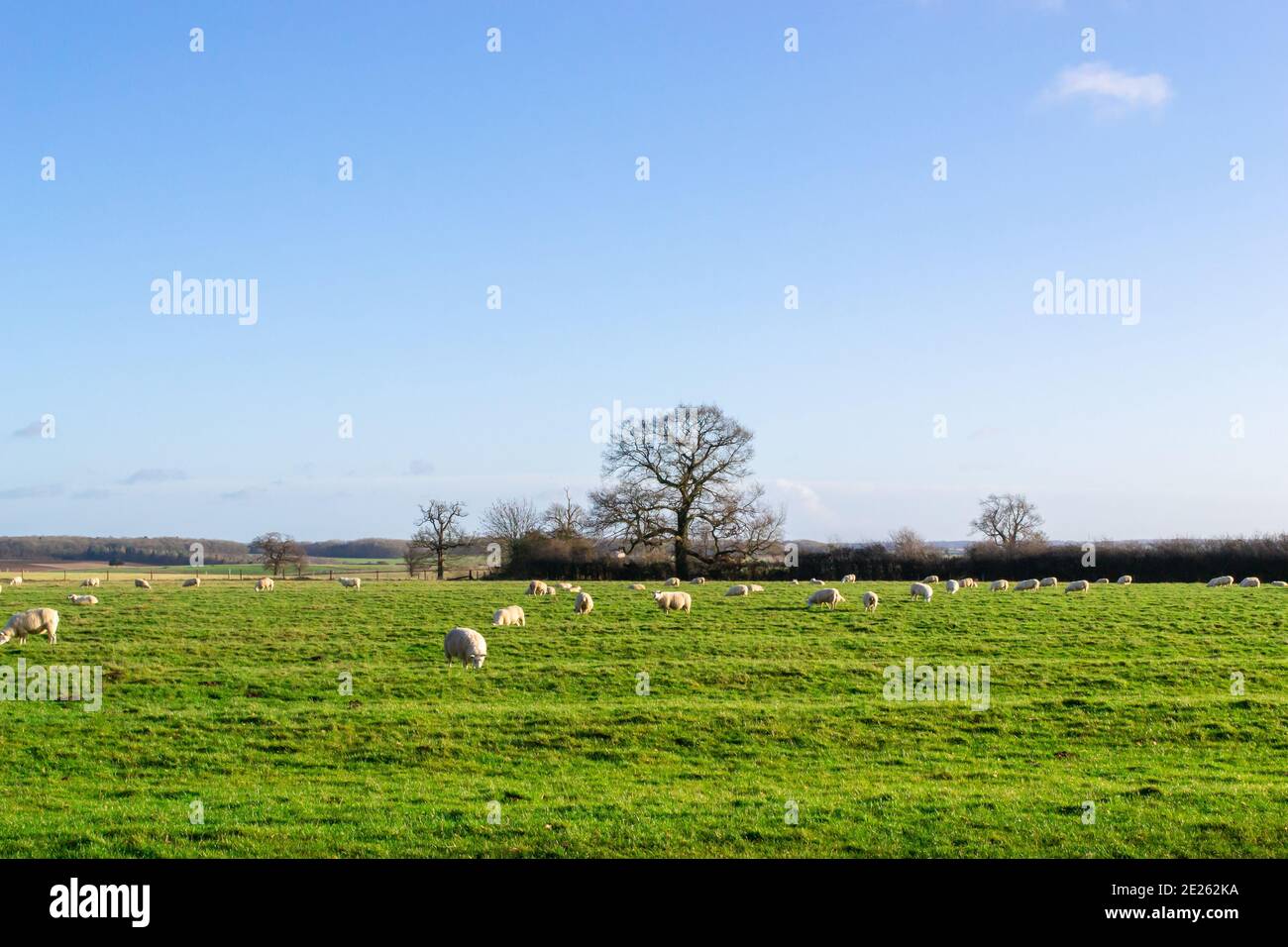 Exton Rutland High Resolution Stock Photography and Images - Alamy