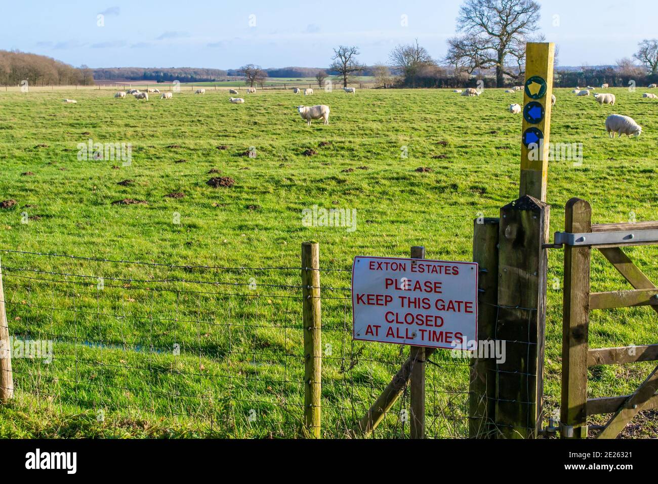 Green field in Exton, Rutland, England Stock Photo - Alamy