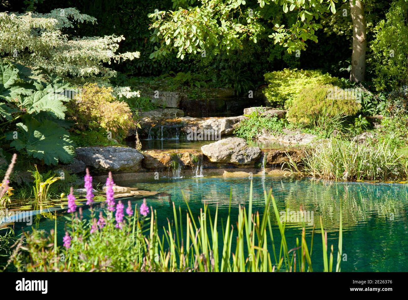 Garden waterfall feature hi-res stock photography and images - Alamy
