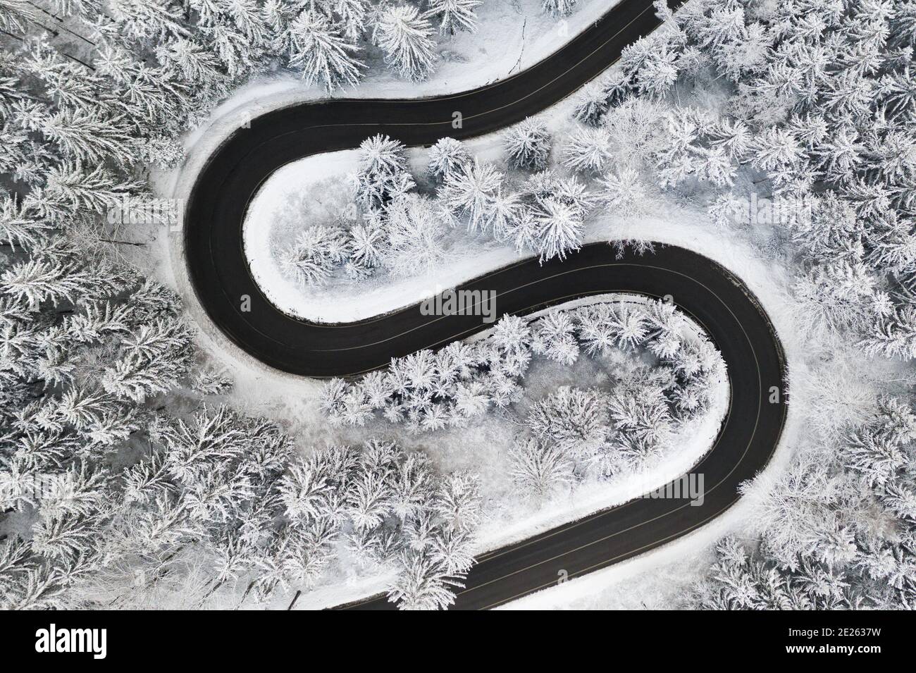 Curved S-shaped road in the winter forest aerial view. Empty winding ...