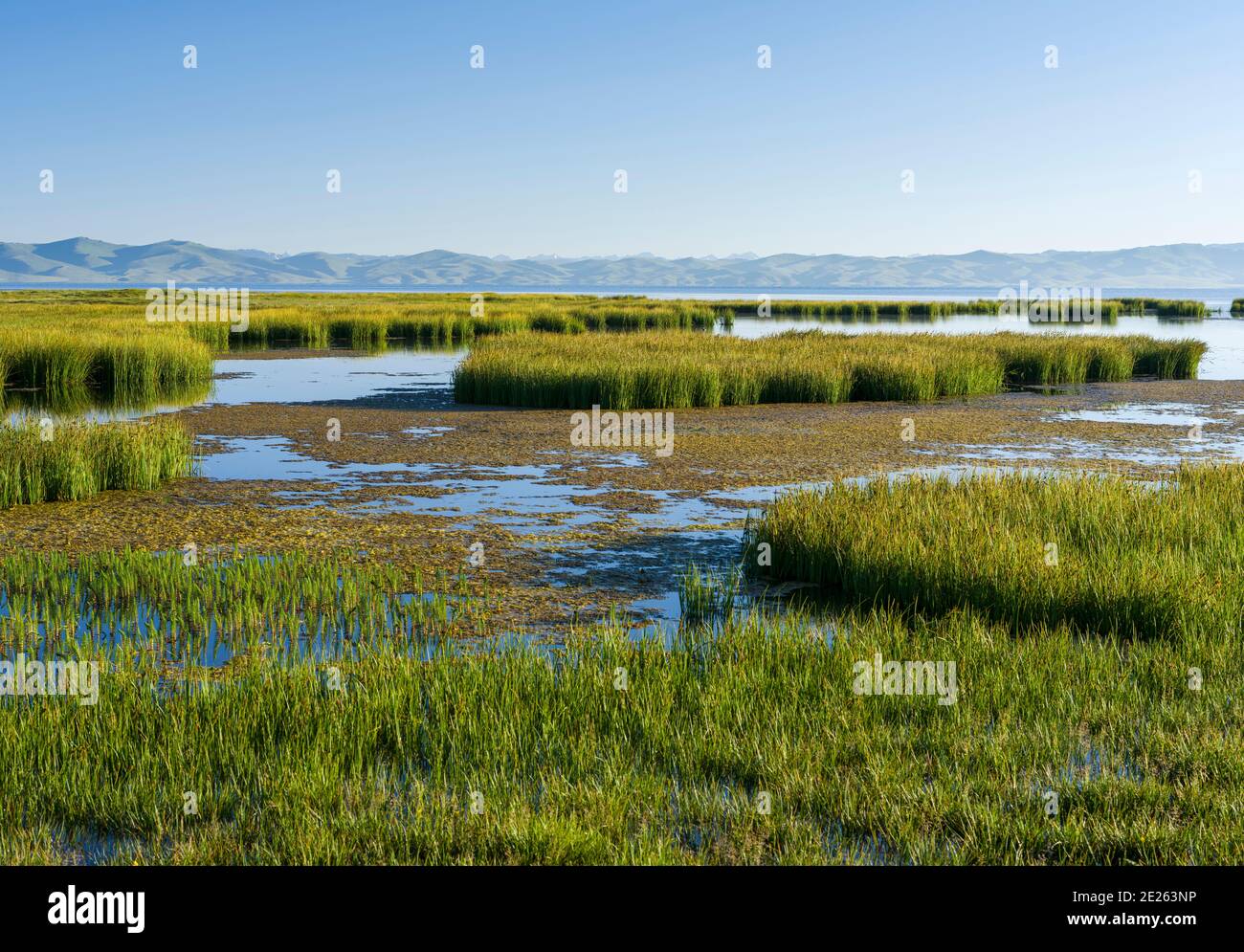 Landscape at lake Song Kol (Son Kul, Songkoel, Song-Koel). Tien Shan ...